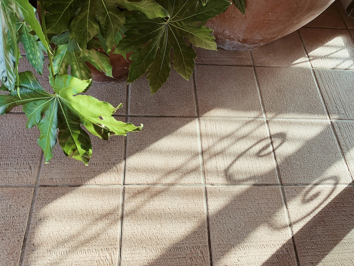 The Best Ceramic Colors for Terrace Flooring