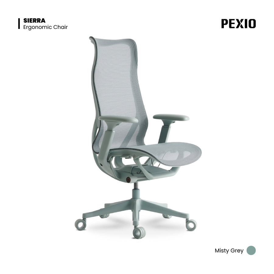 PEXIO : Office Furniture & Design Interior Service