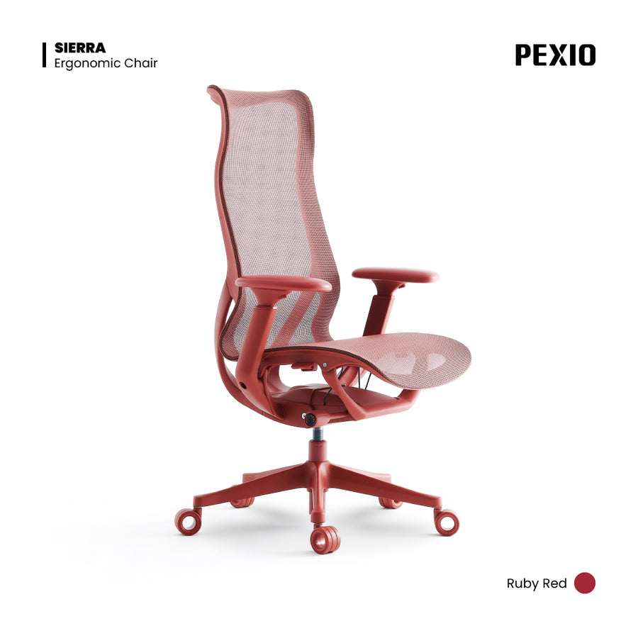 PEXIO : Office Furniture & Design Interior Service