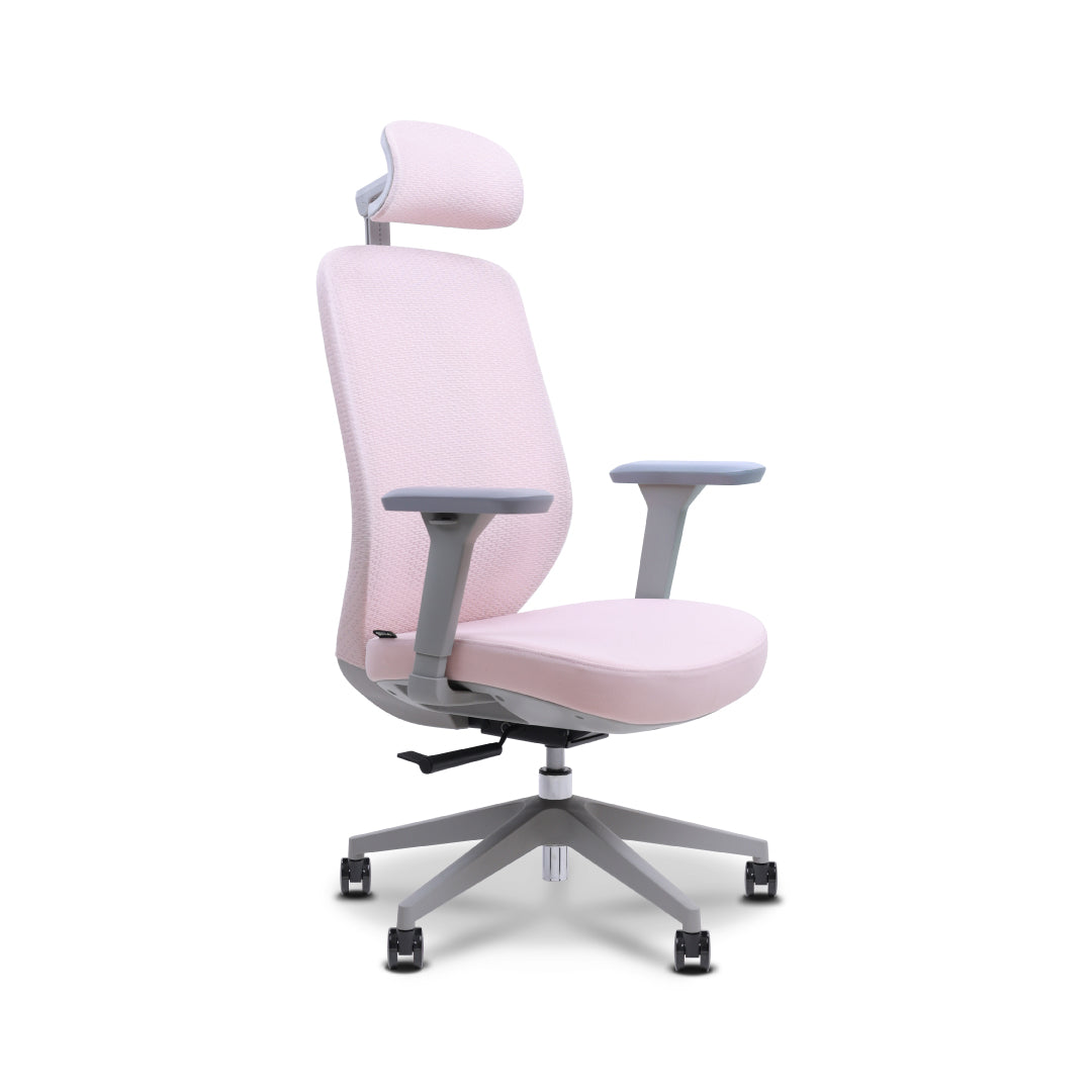 Jual Riley Ergonomic Chair untuk Kerja Nyaman - Pexio May 2026